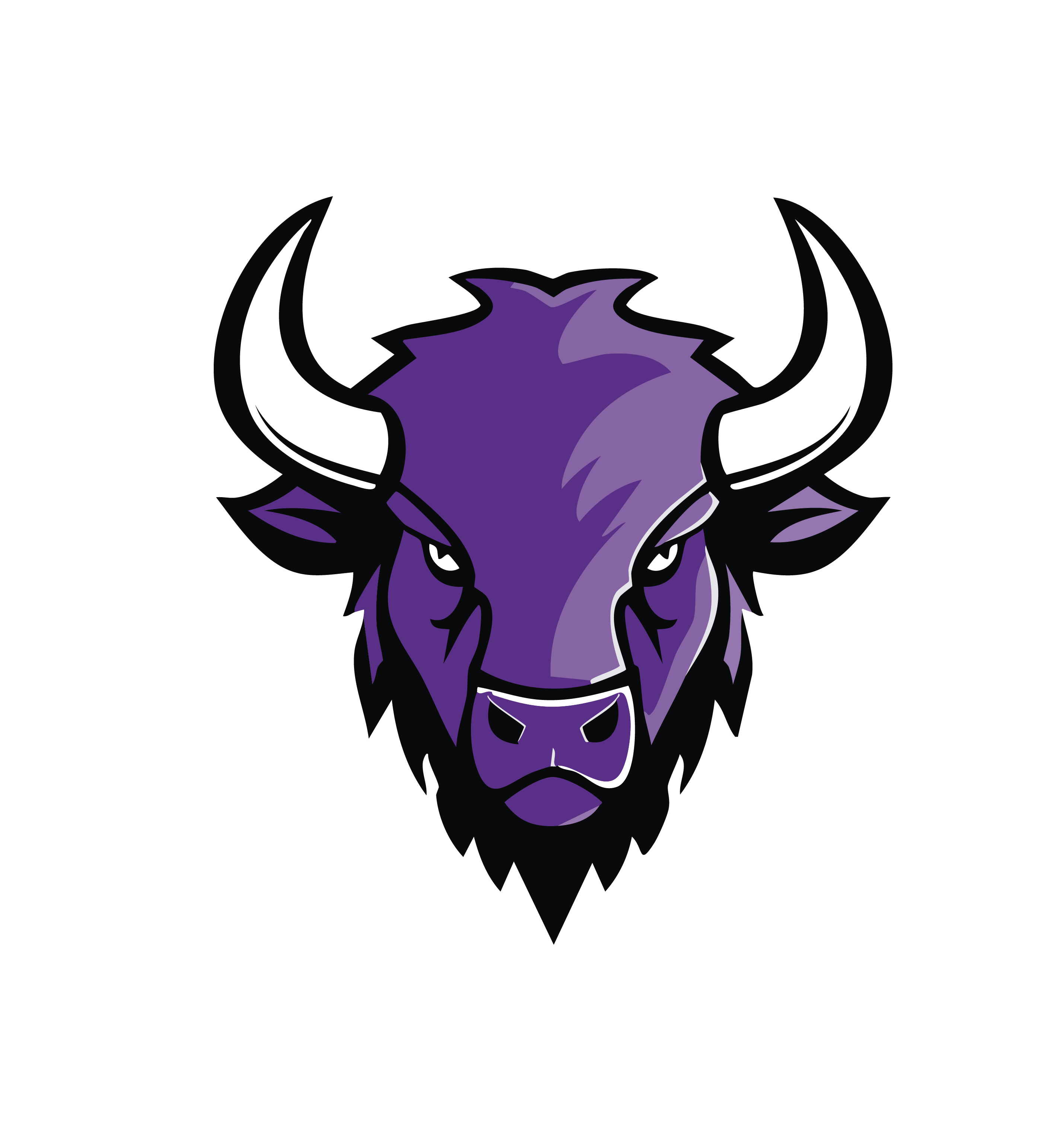 Buffalo Bison Apparel – Aspen Woods & Company